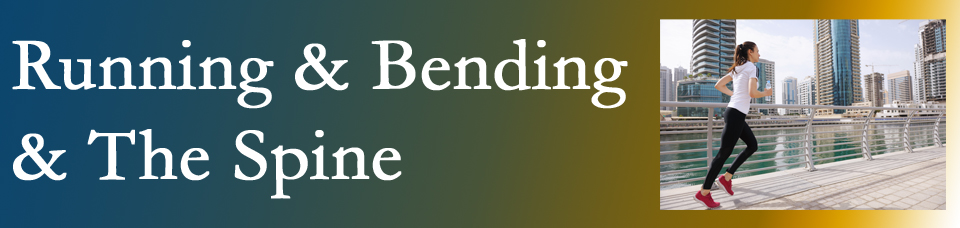 Running and Bending Affect Spinal Dynamics - Ashburn and Herndon ...