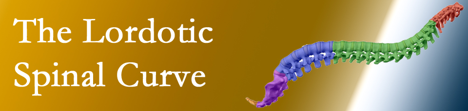 The Lordotic Spinal Curve and Ashburn and Herndon Chiropractic Care ...